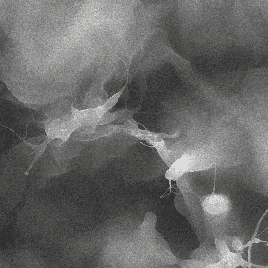 Graphene Nanotubes For Industrial Applications