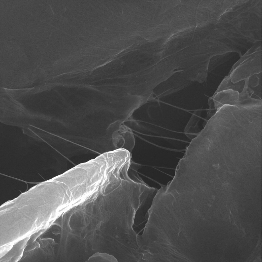 Graphene Nanotubes For Industrial Applications
