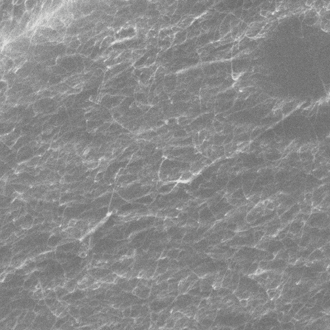 Graphene Nanotubes For Industrial Applications