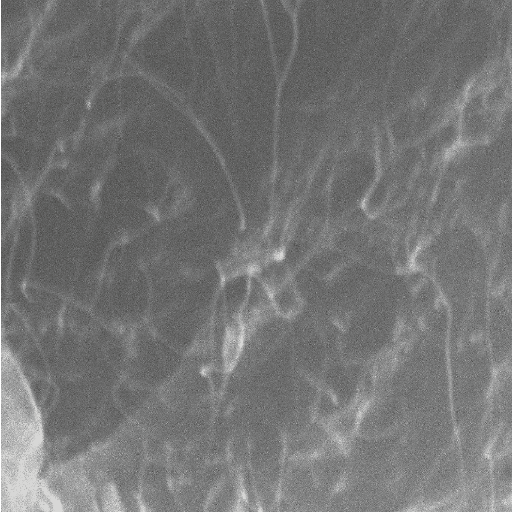 Graphene Nanotubes For Industrial Applications